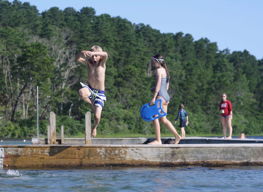 Danger Blooms in Cape Cod Ponds - The Provincetown Independent