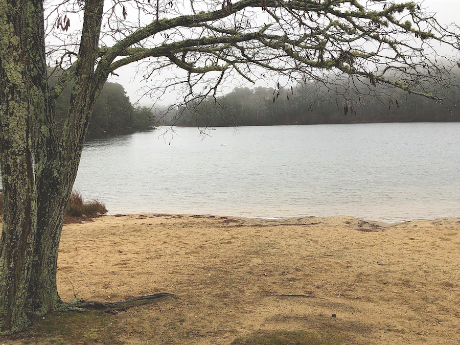 Ice Sports Are Just Memories As Ponds Warm - The Provincetown Independent