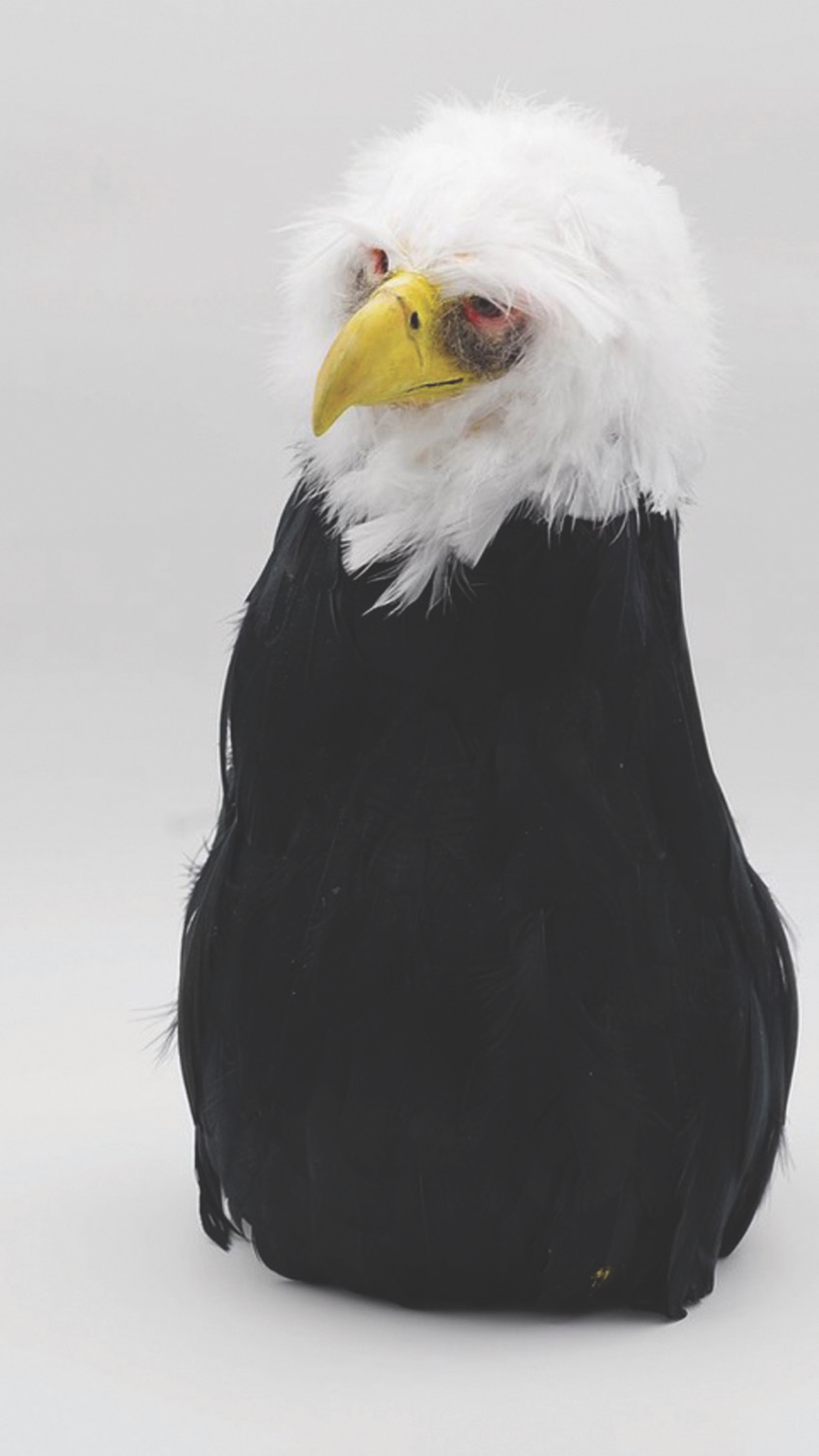 Eco-inspired Artist Jamie Levine Was Hit Hard by Covid - The ...