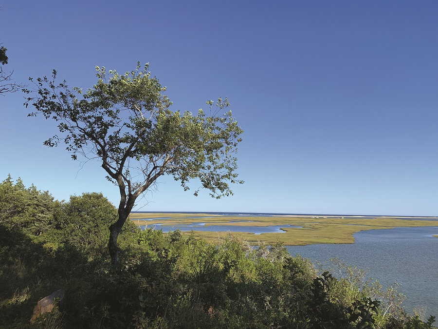 Thwarting Par at Eastham’s Devilish Cedar Bank Links - The Provincetown ...
