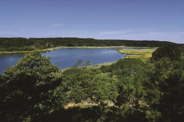 On the Herring River With Stephen Broker - The Provincetown Independent