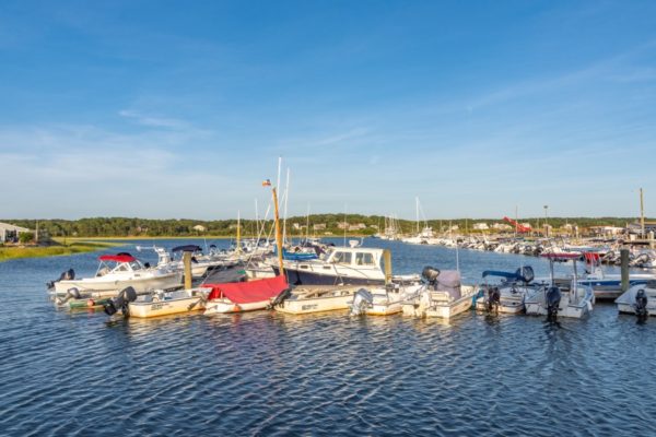 Wellfleet Harbor Archives - The Provincetown Independent