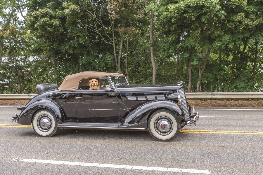 Once Upon a Time There Was a Parade - The Provincetown Independent