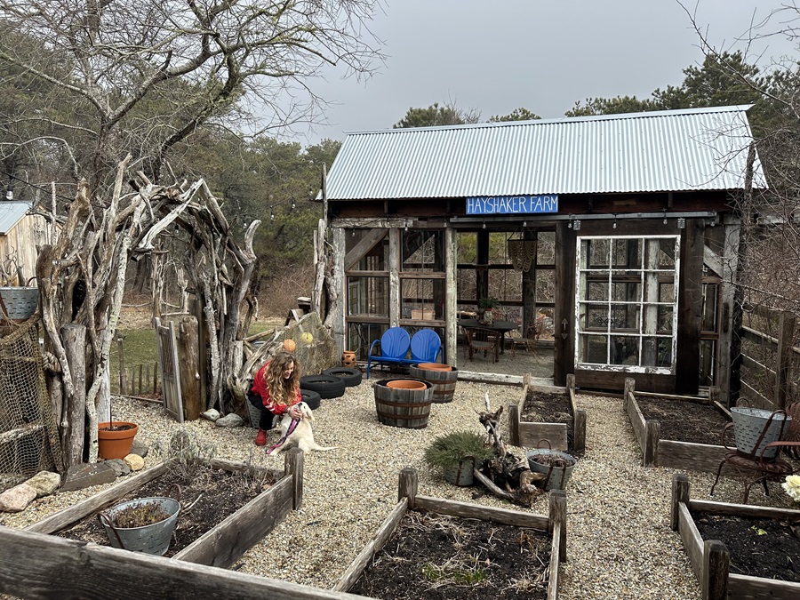 A Greenhouse for Gatherings - The Provincetown Independent