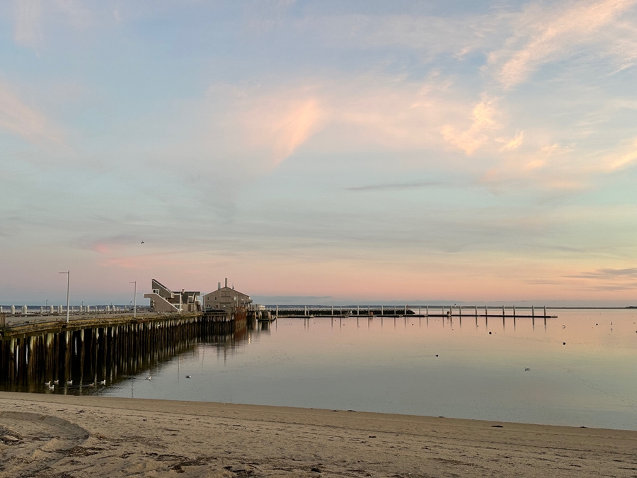 Ann and Chuck Lagasse Archives - The Provincetown Independent