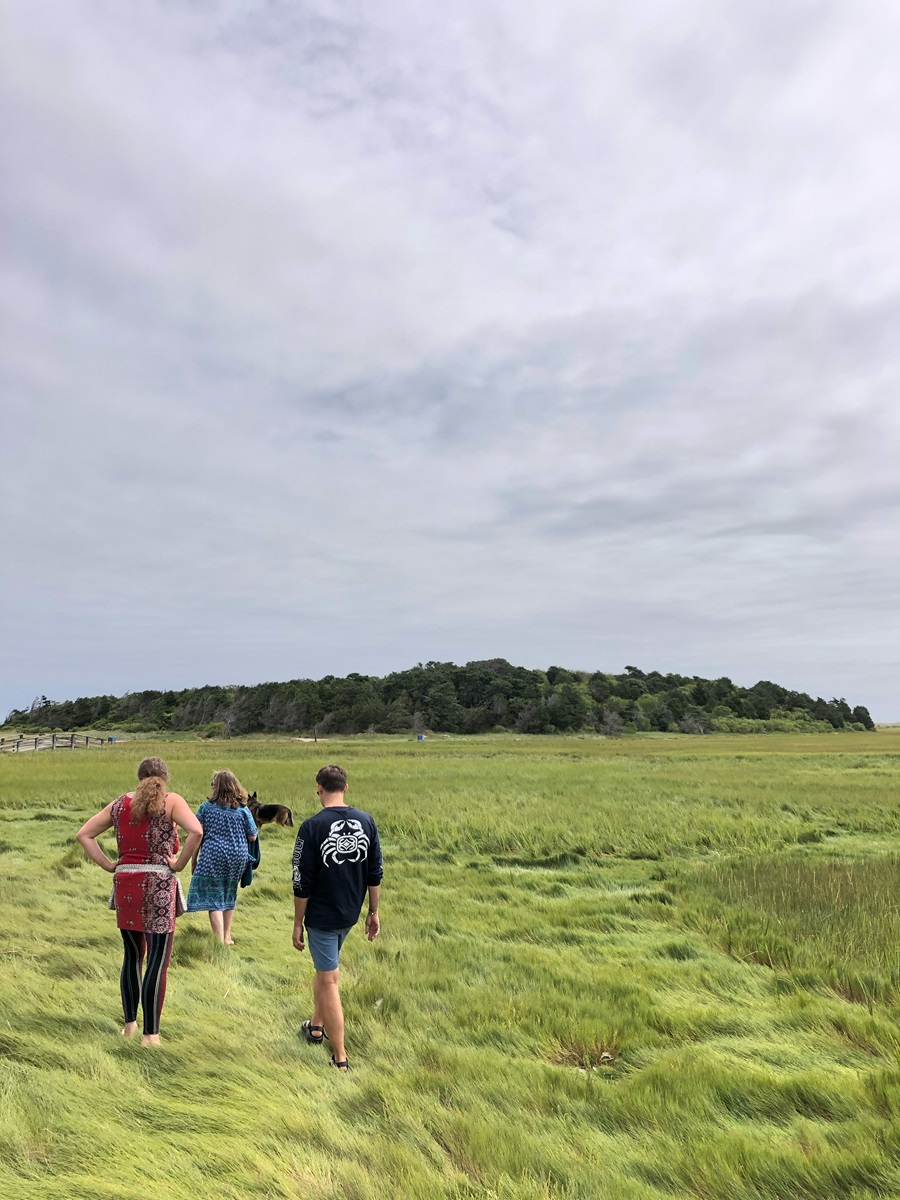 At Home on Pochet Island - The Provincetown Independent