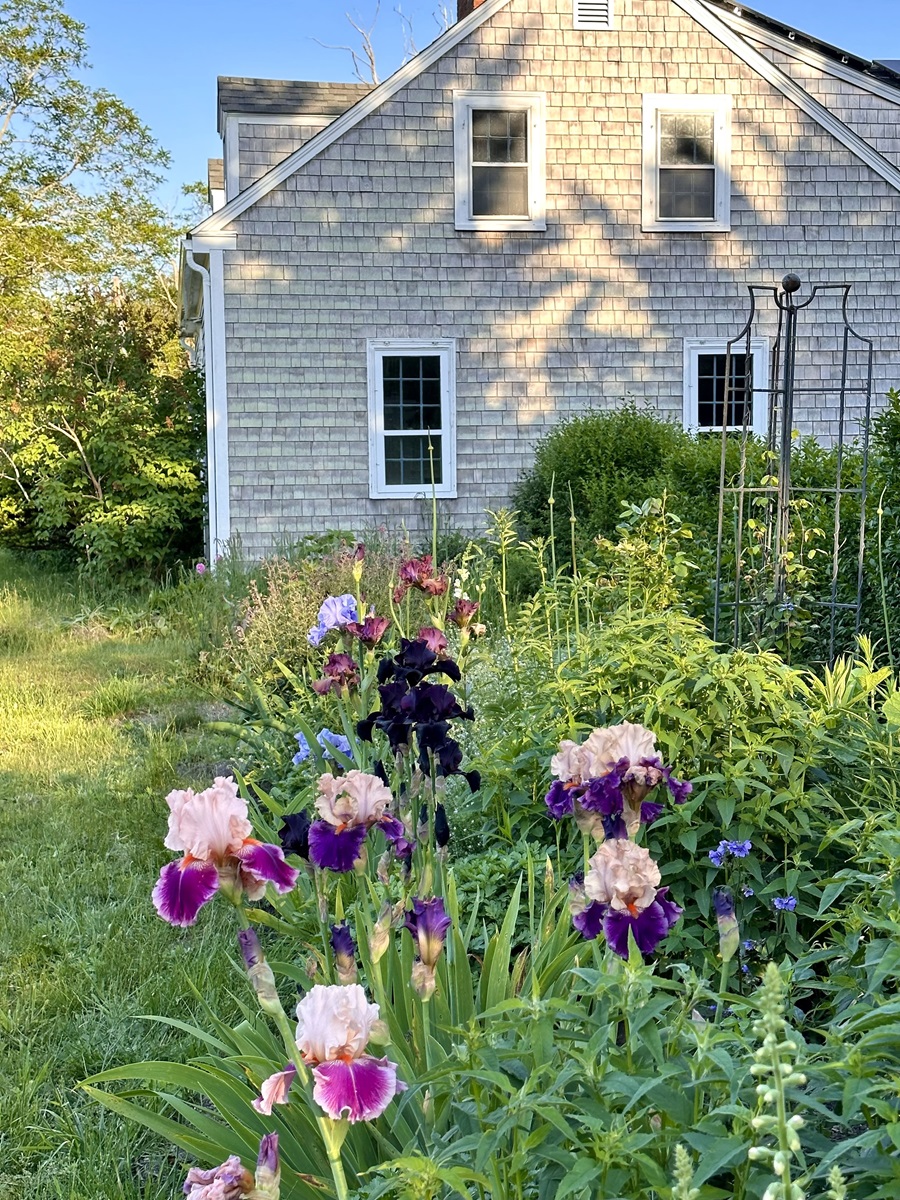 An Earthbound Rainbow - The Provincetown Independent