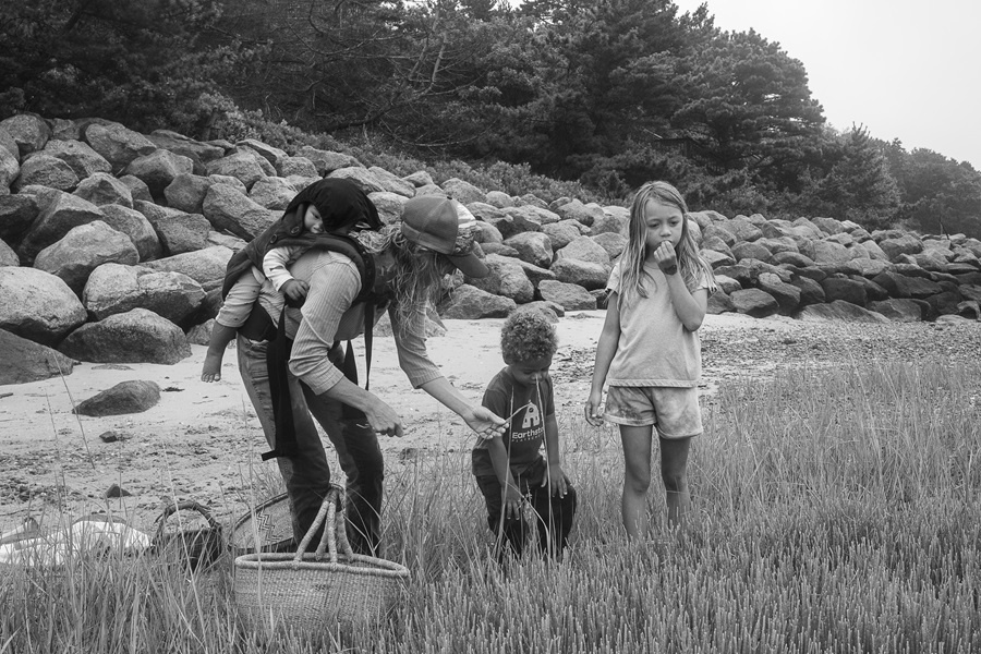 Where the Wild Things Grow - The Provincetown Independent