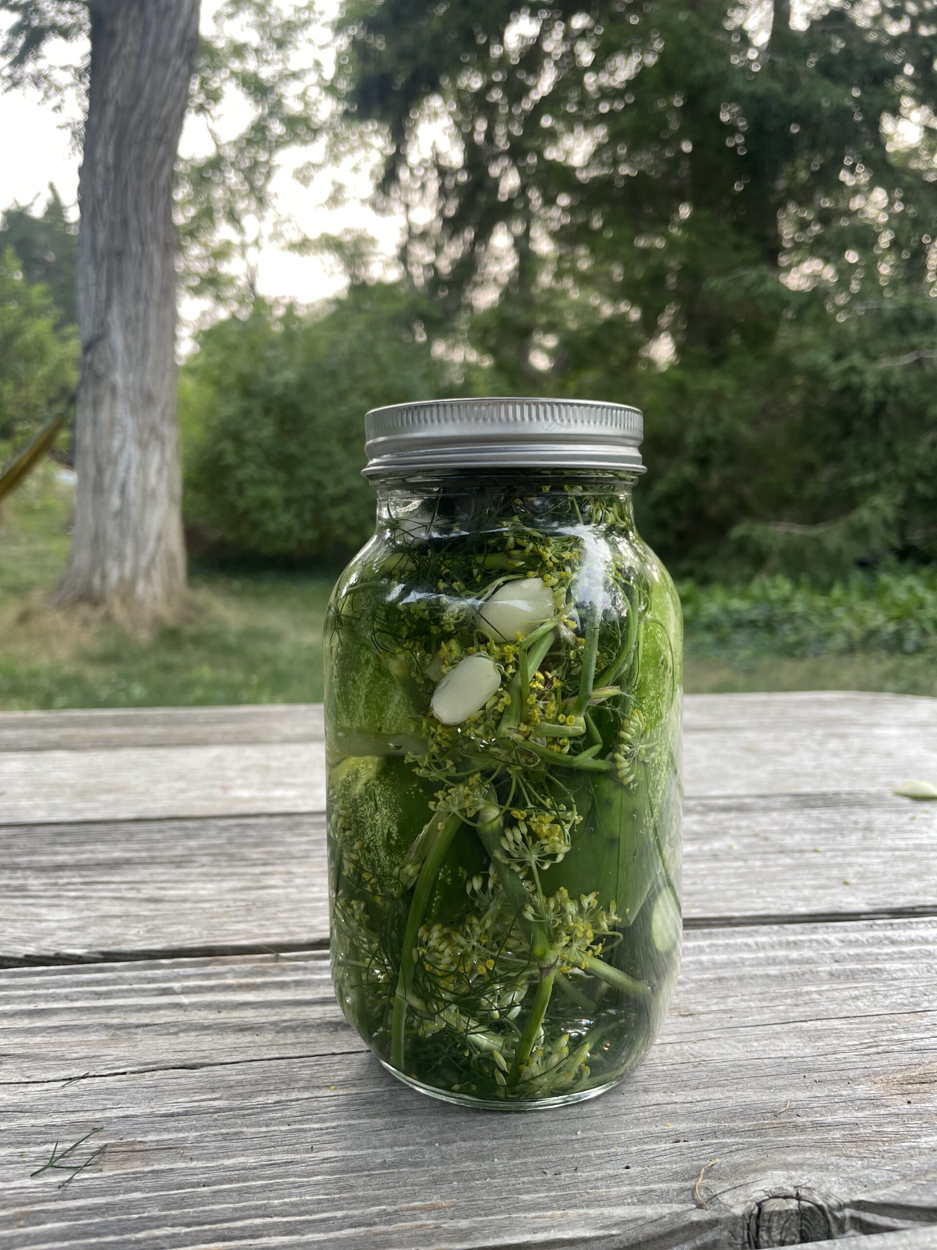 A Polish Grandma’s Pickles - The Provincetown Independent