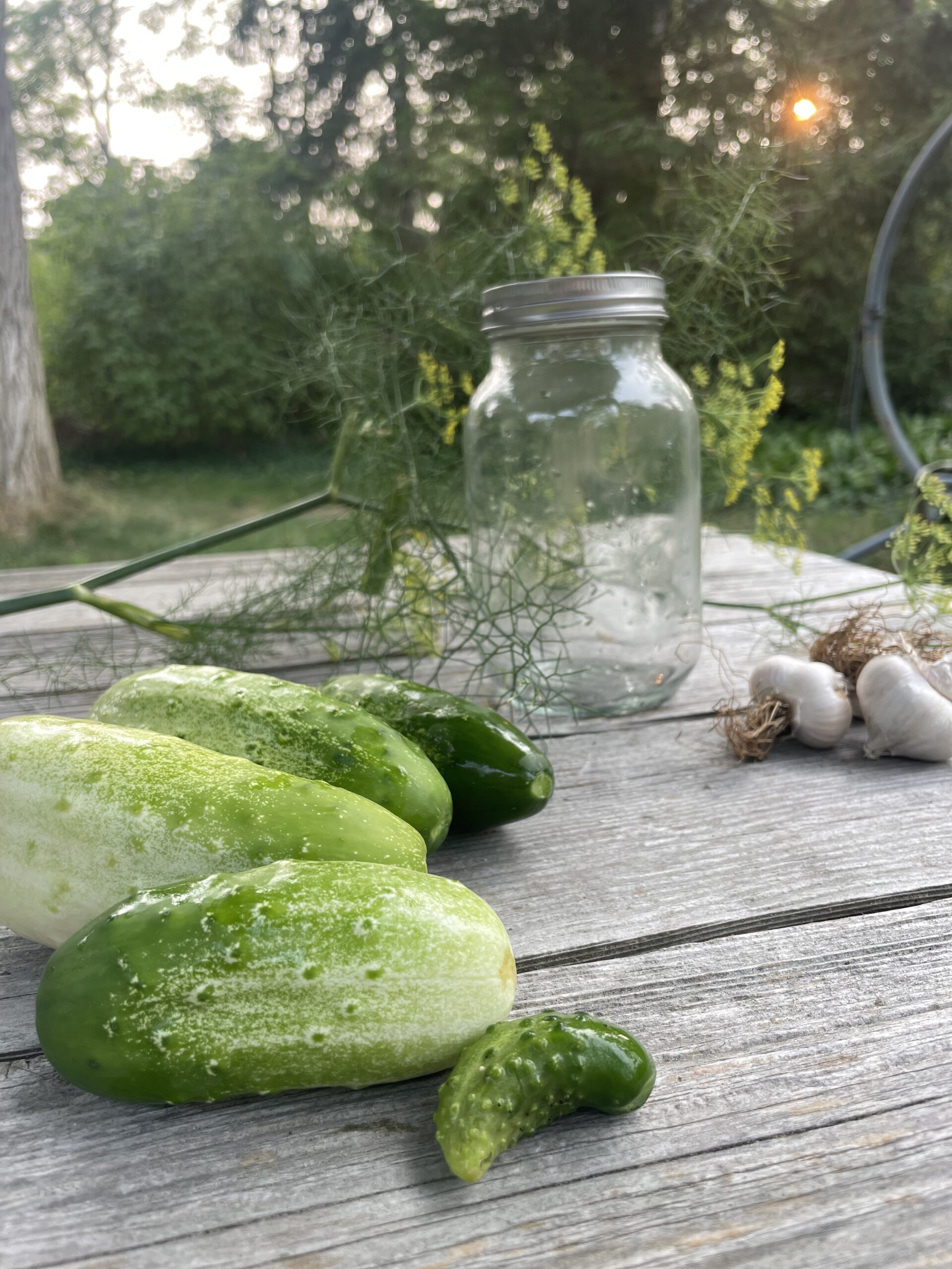 A Polish Grandma’s Pickles - The Provincetown Independent