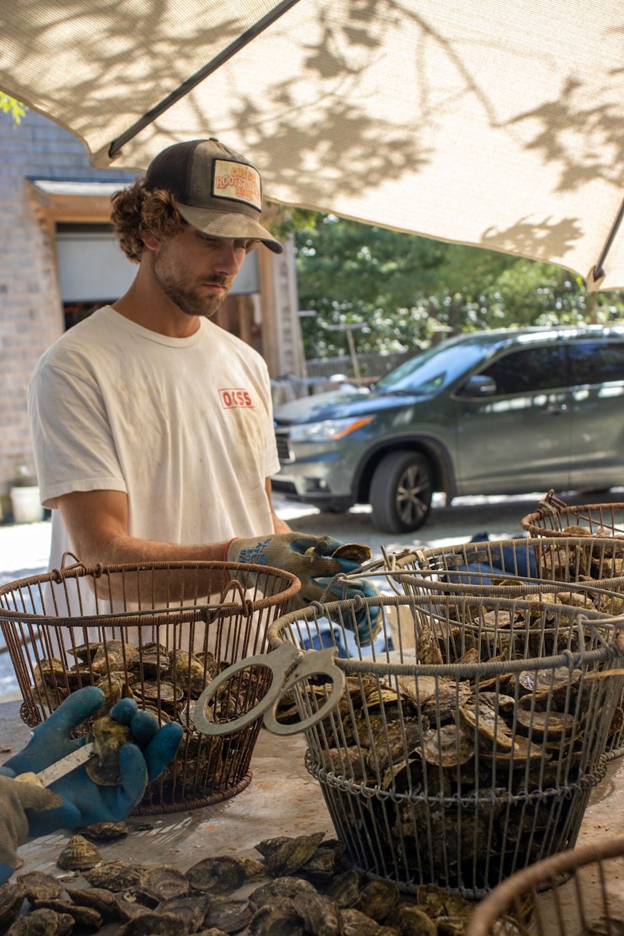 Off the Tides, the Work Goes On for Oystermen - The Provincetown ...