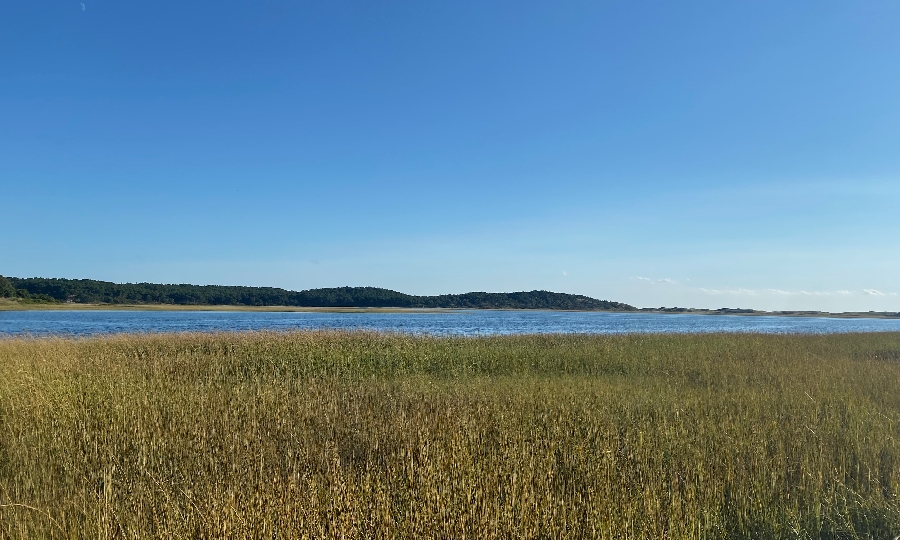 Wellfleet Moves to Replace Cesspools and Old Septic Systems - The ...