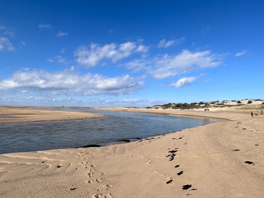 In Search of Helltown - The Provincetown Independent