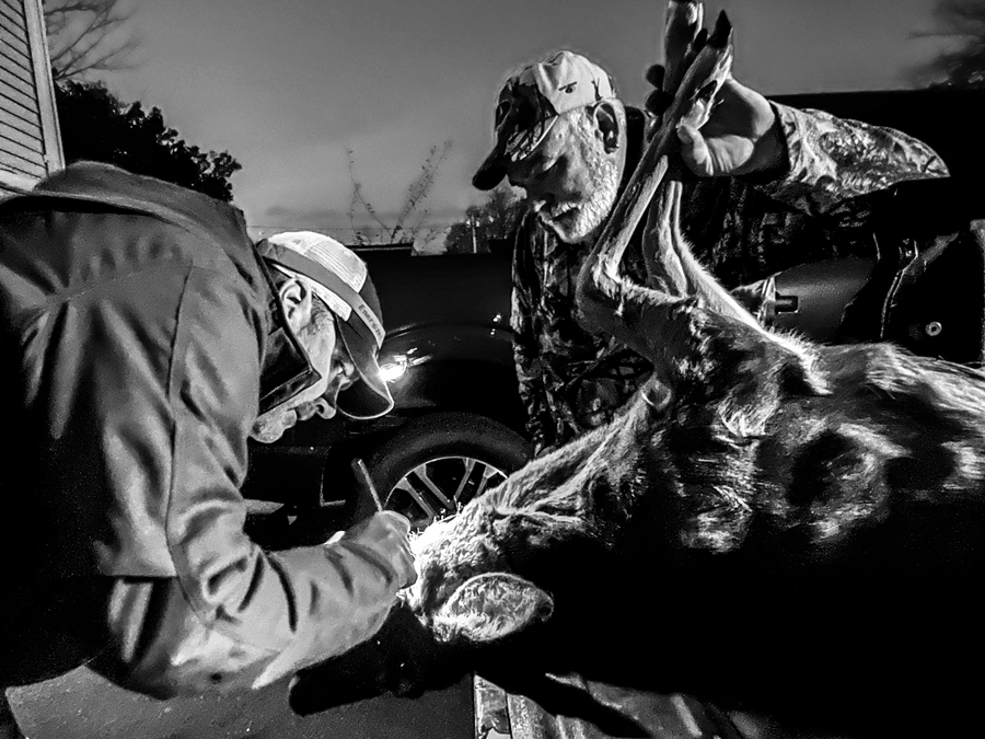 Deer-Check Station Archives - The Provincetown Independent