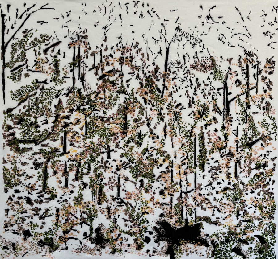 The Very Fabric of the Landscape - The Provincetown Independent