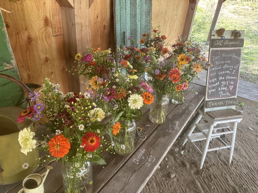 Farm Stands Archives - The Provincetown Independent