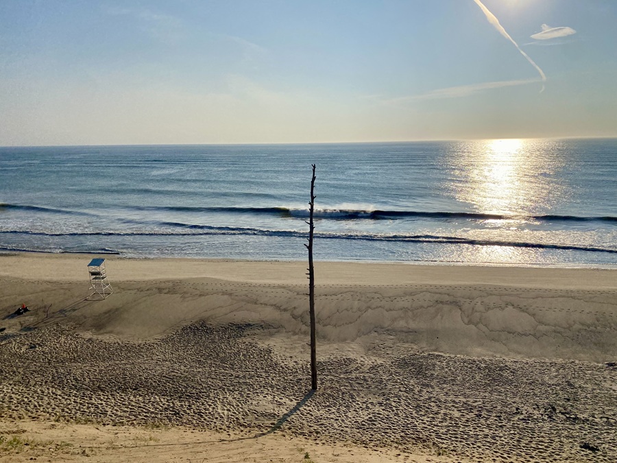 Raising the Kahuna Pole in Wellfleet - The Provincetown Independent