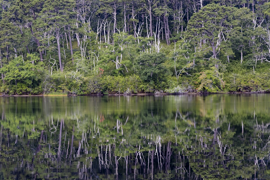 Invisible Stresses Threaten Health of Wellfleet’s Kettle Ponds - The ...