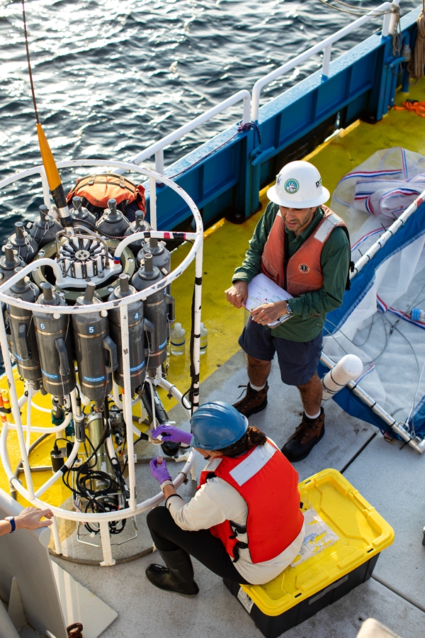 Locking away Ocean Carbon in the North East Shelf and Slope Archives ...