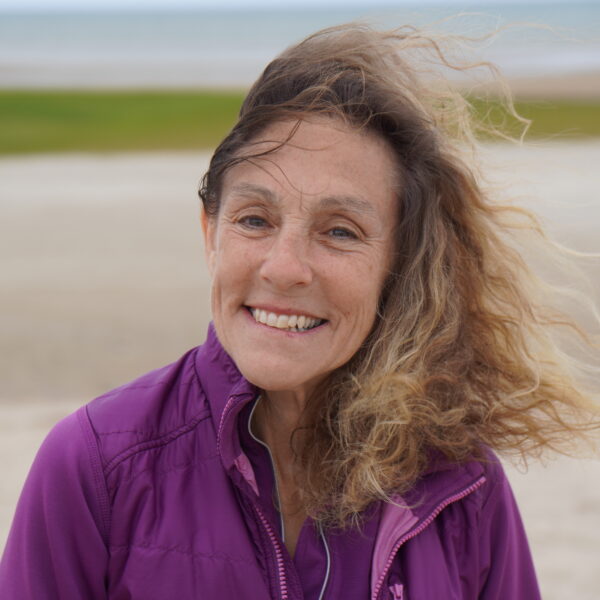 News Archives - The Provincetown Independent