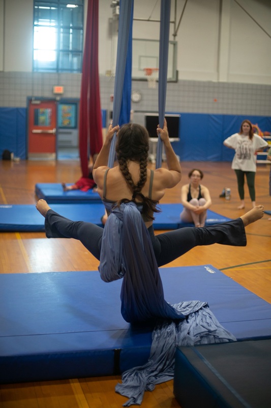 Aerial Skills for Social Climbers - The Provincetown Independent