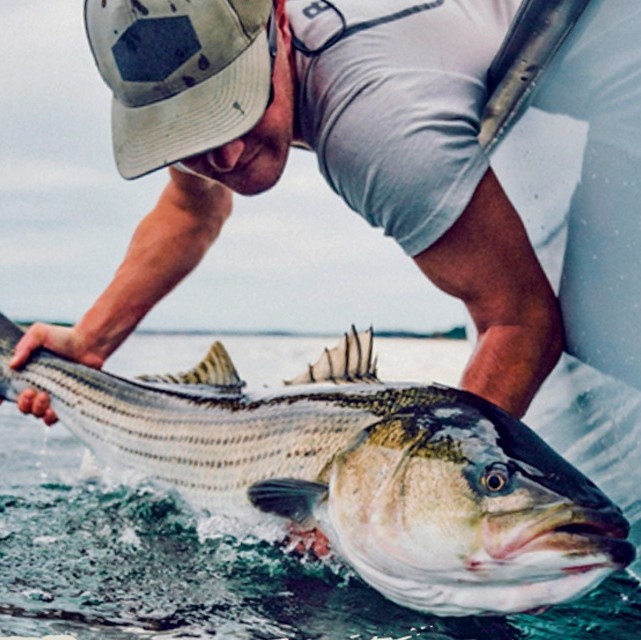 Time, Hooks, and Handling Are Key to Reducing Striped Bass Release ...