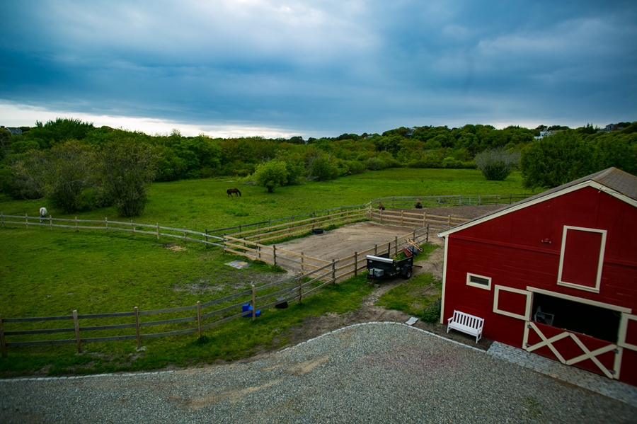 Provincetown’s Last Horse Farm Goes on the Market - The Provincetown ...