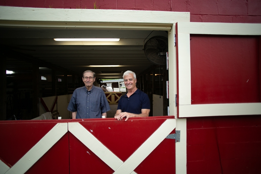 Provincetown’s Last Horse Farm Goes on the Market - The Provincetown ...